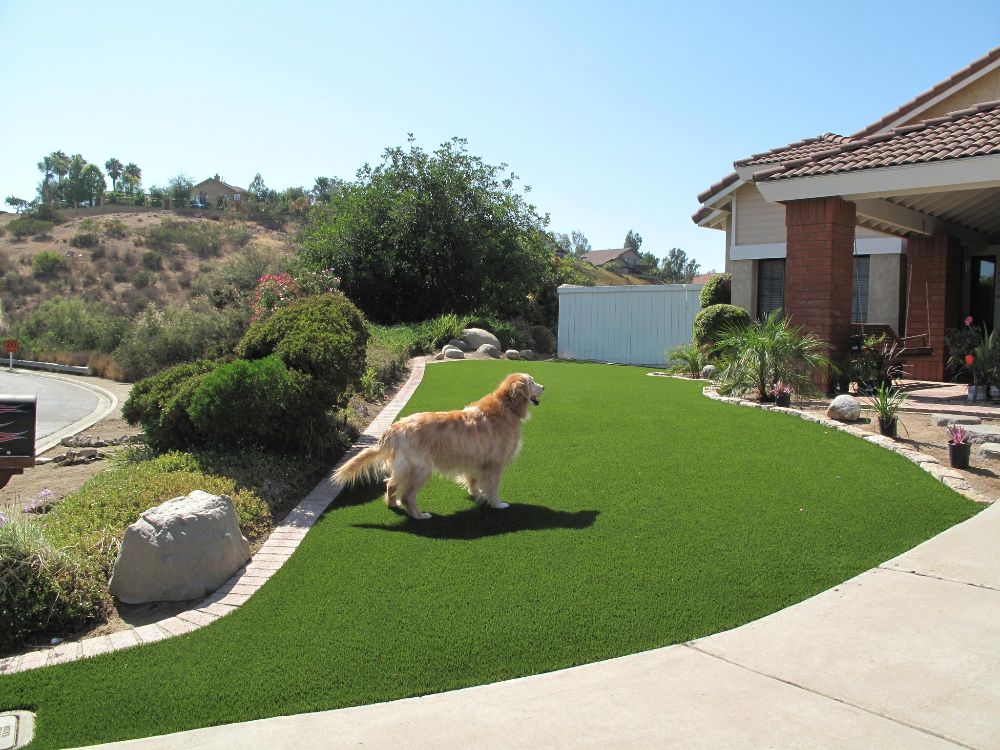 FieldTurf Landscape - Calhoun | Service - Home Improvement